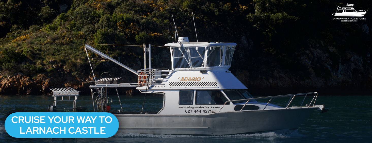 Scenic Cruises and Bike Ferry: Otago Harbour Adventures